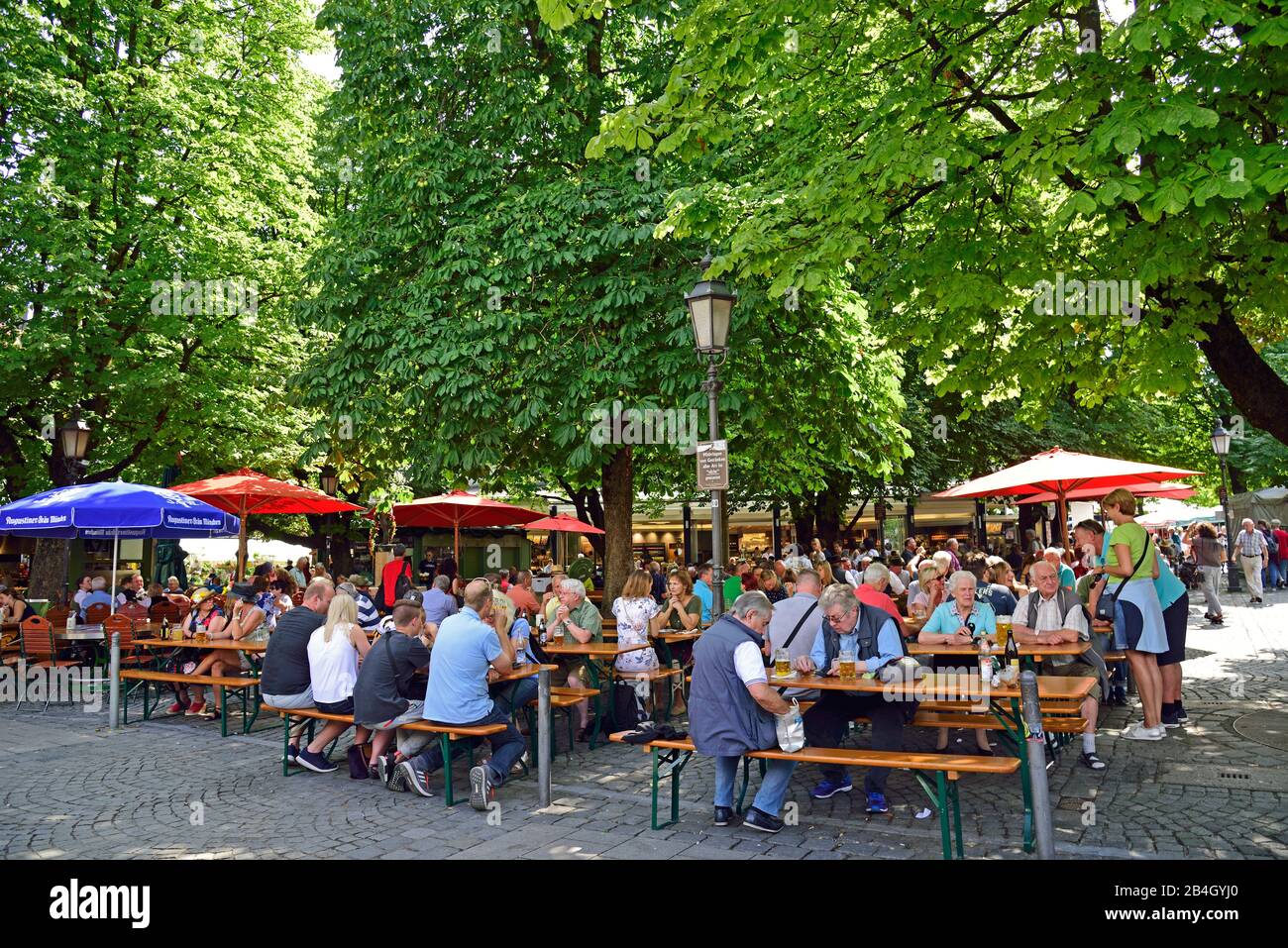 Munich city tour hi-res stock photography and images - Alamy