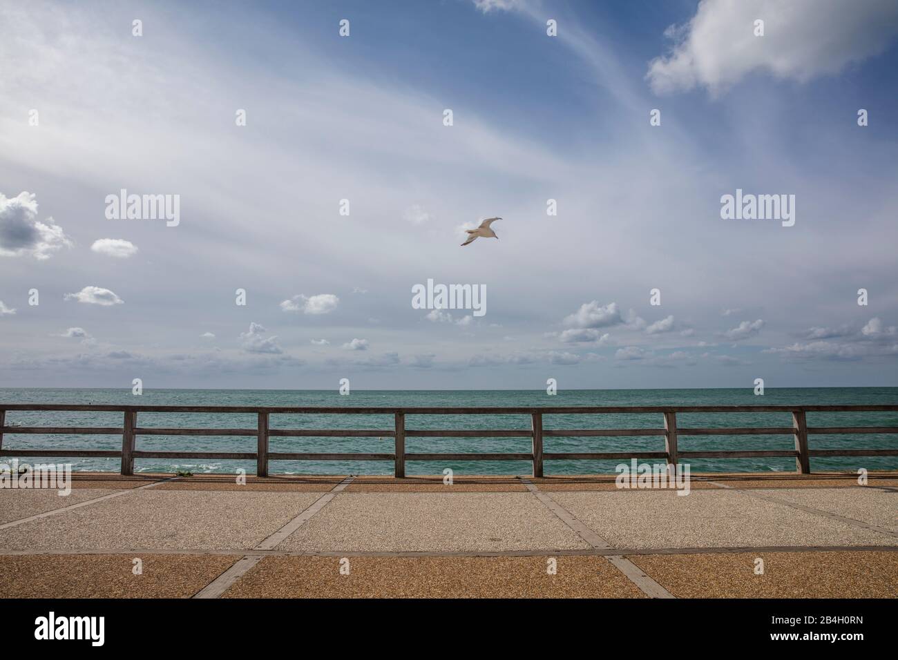 Normandy, Alabaster Coast, Promenade, Seagull, Etretat, Beach, Atlantic ...