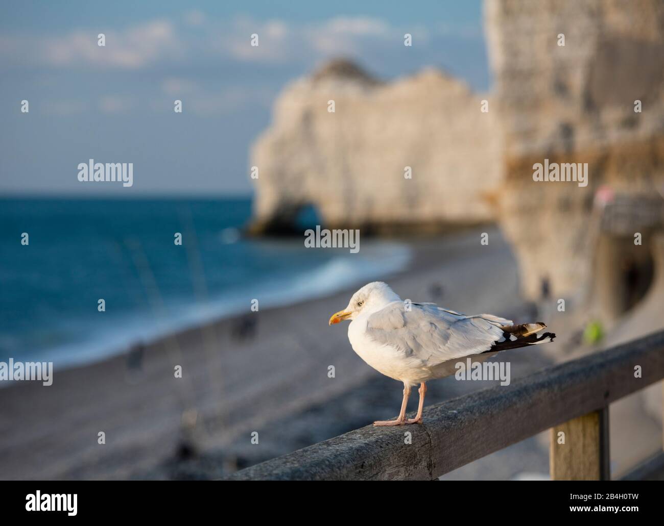 Ocean gate High Resolution Stock Photography and Images - Alamy