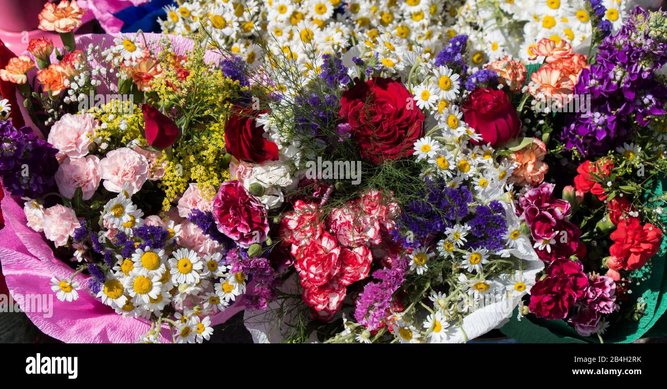 Blooming beautiful colorful fresh natural flowers in view Stock Photo ...