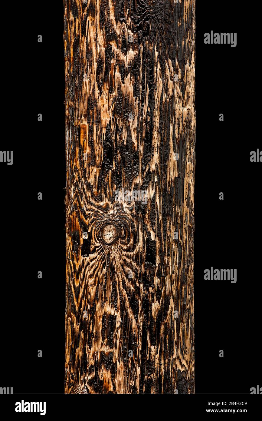 Wooden mast hi-res stock photography and images - Alamy