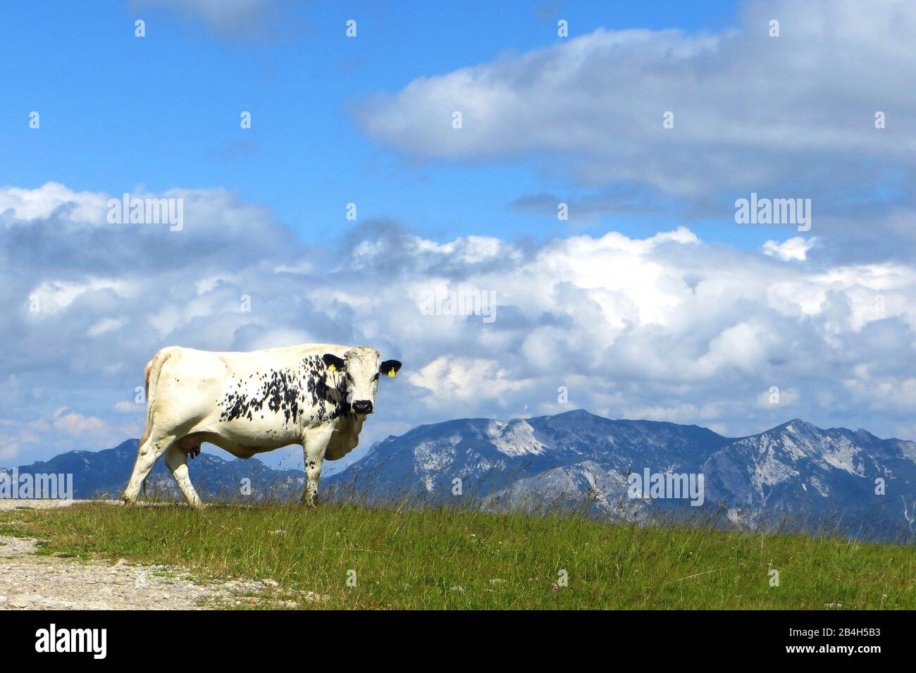 Hinterstoder, Austria High Resolution Stock Photography and Images - Alamy