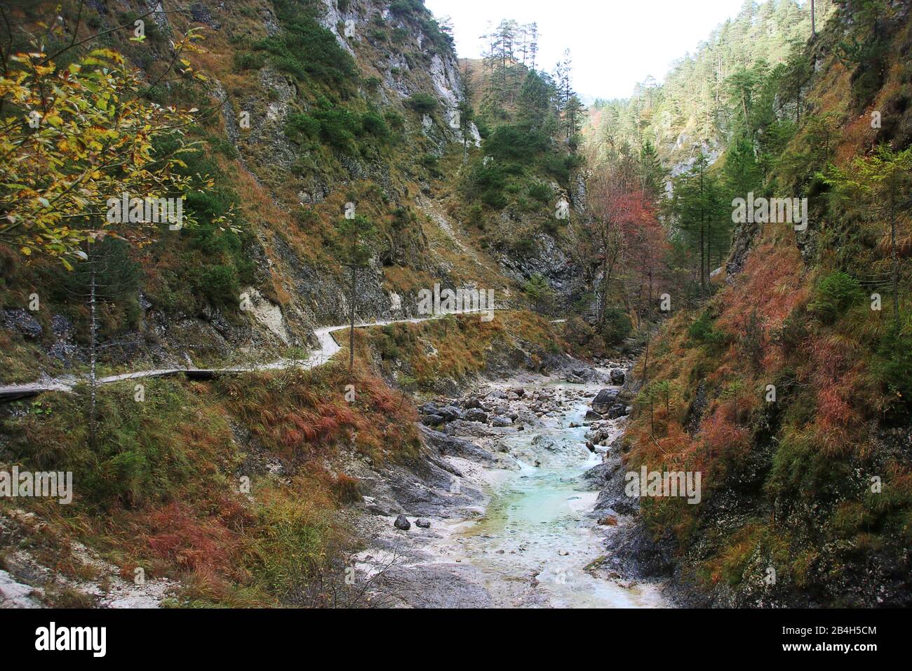 Almbachklamm at Marktschellenberg in Bavaria Stock Photo - Alamy