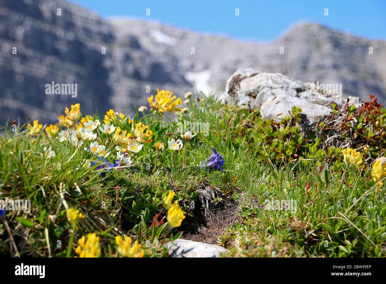 Warscheneck High Resolution Stock Photography and Images - Alamy