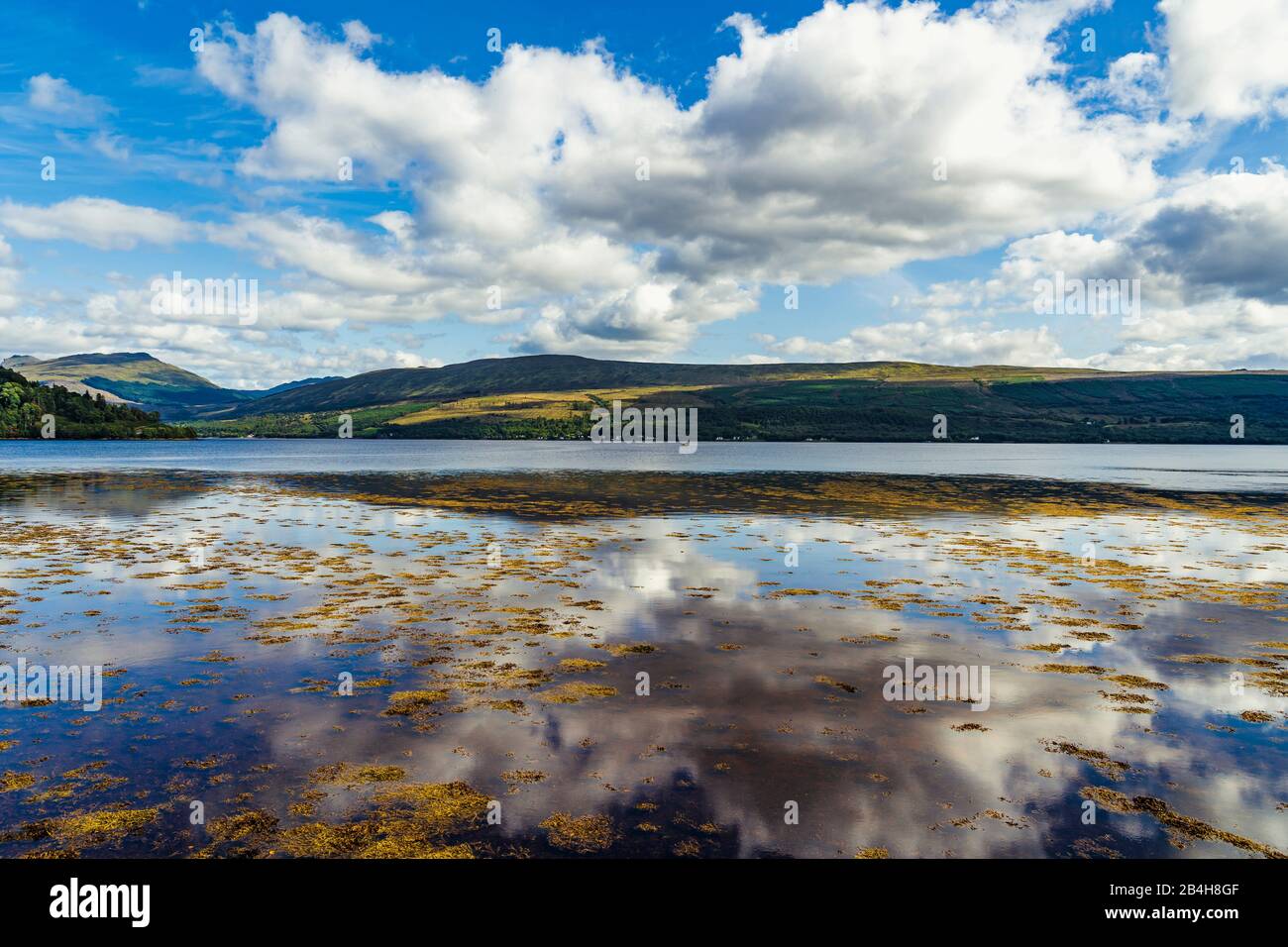 Loch fyne scotland landscape hi-res stock photography and images - Alamy