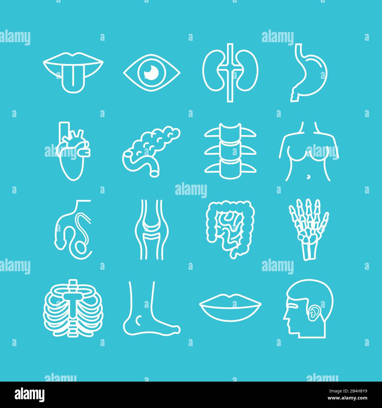 bundle of body parts and organs icons Stock Vector Image & Art - Alamy