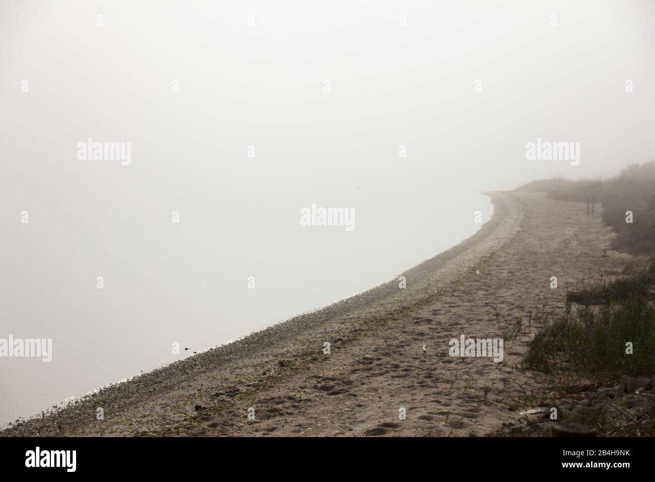 Fog on beach hi-res stock photography and images - Alamy