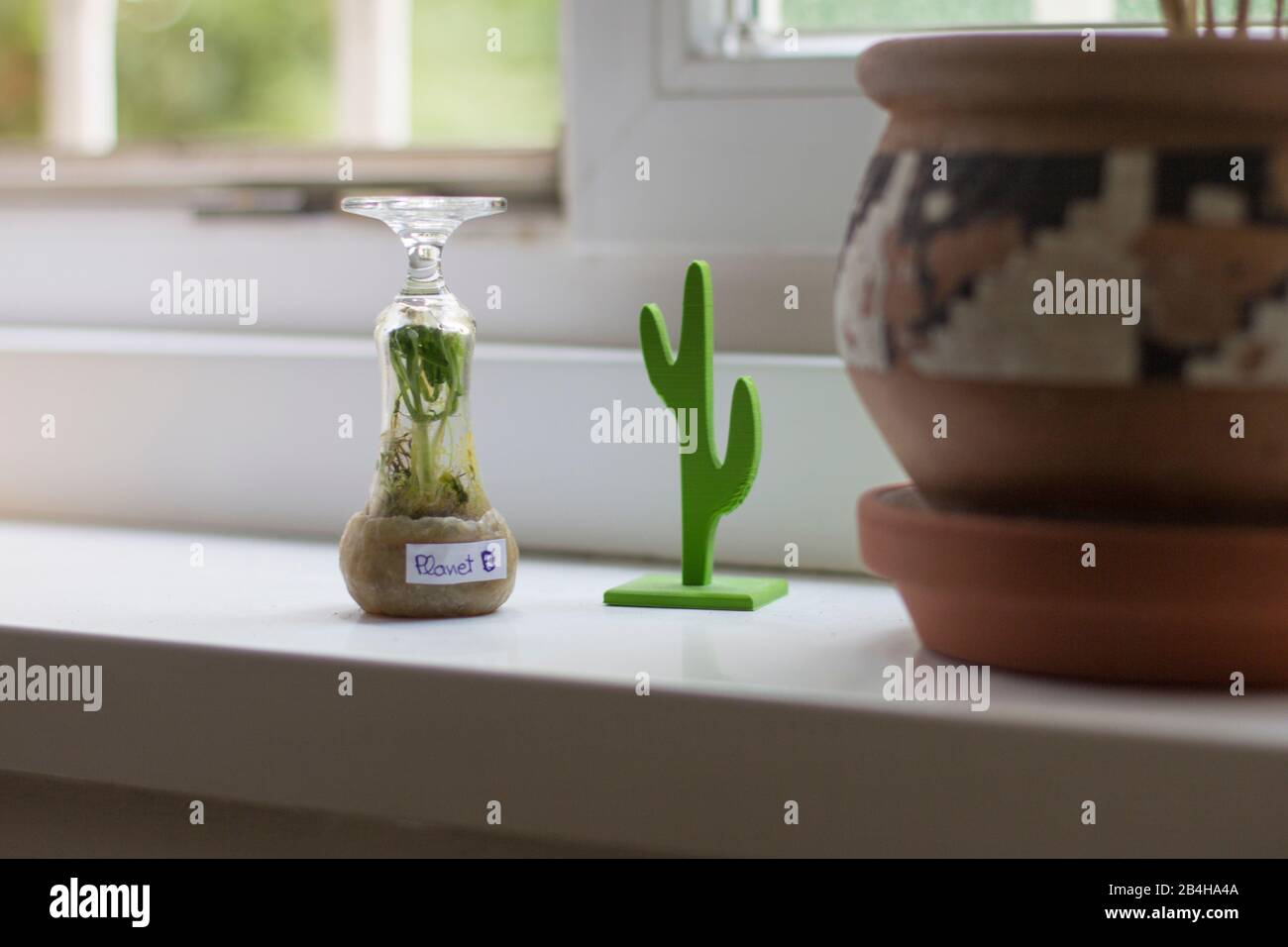 Biotope protection hi-res stock photography and images - Alamy