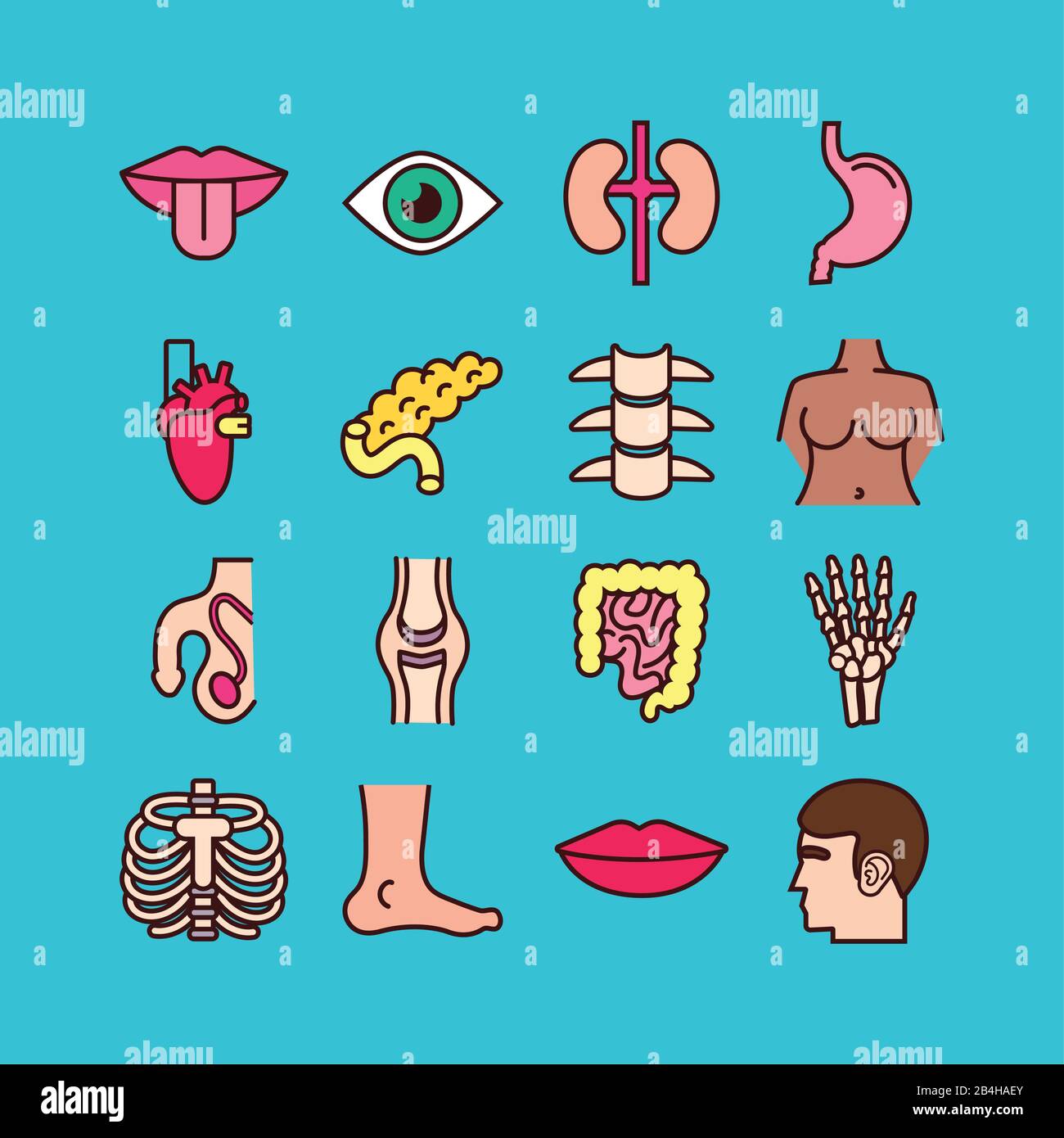 Body parts icons set cartoon hi-res stock photography and images - Alamy