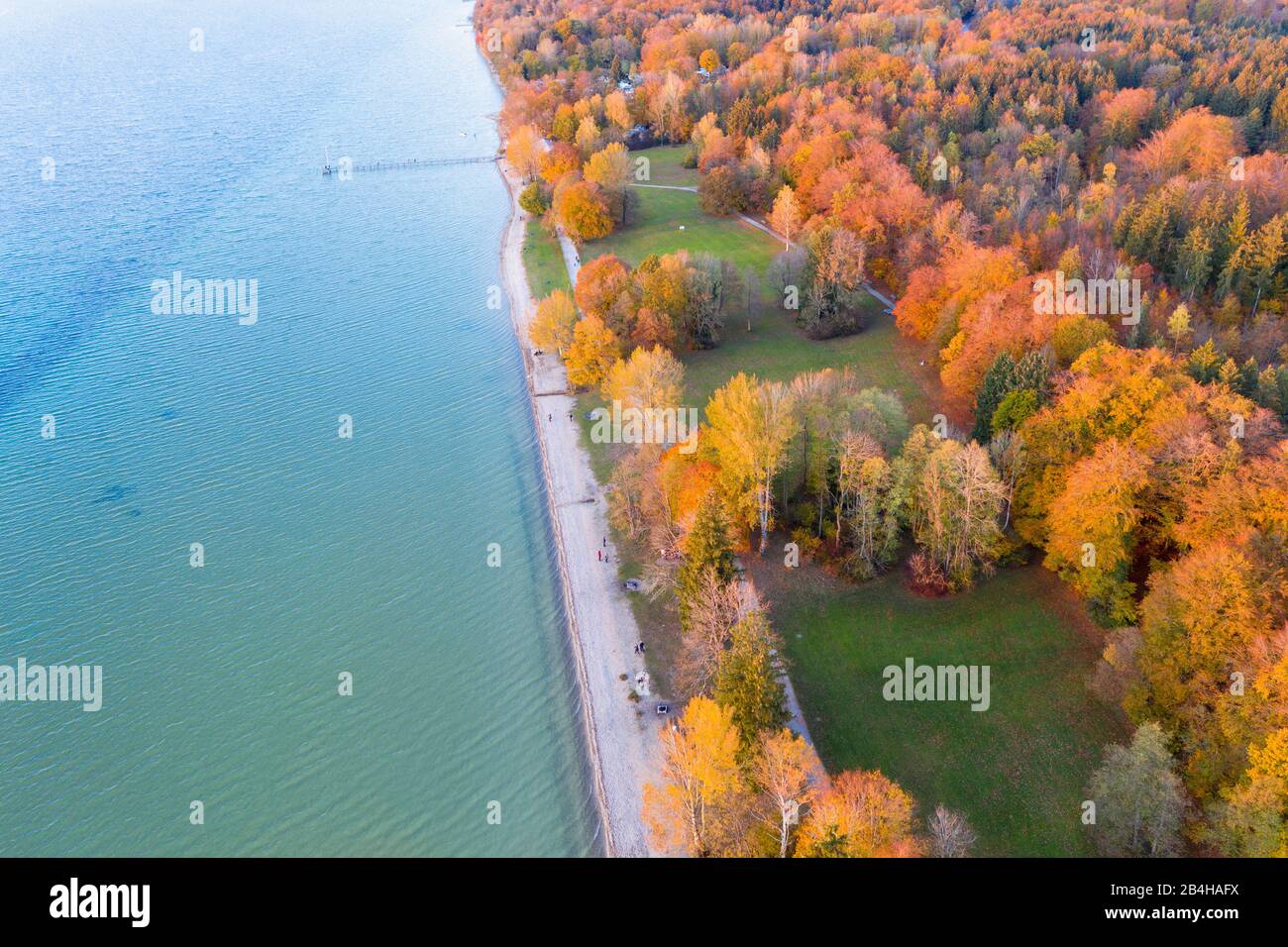 Starnberger See, east shore at the recreation area Ambach, Fünfseenland ...