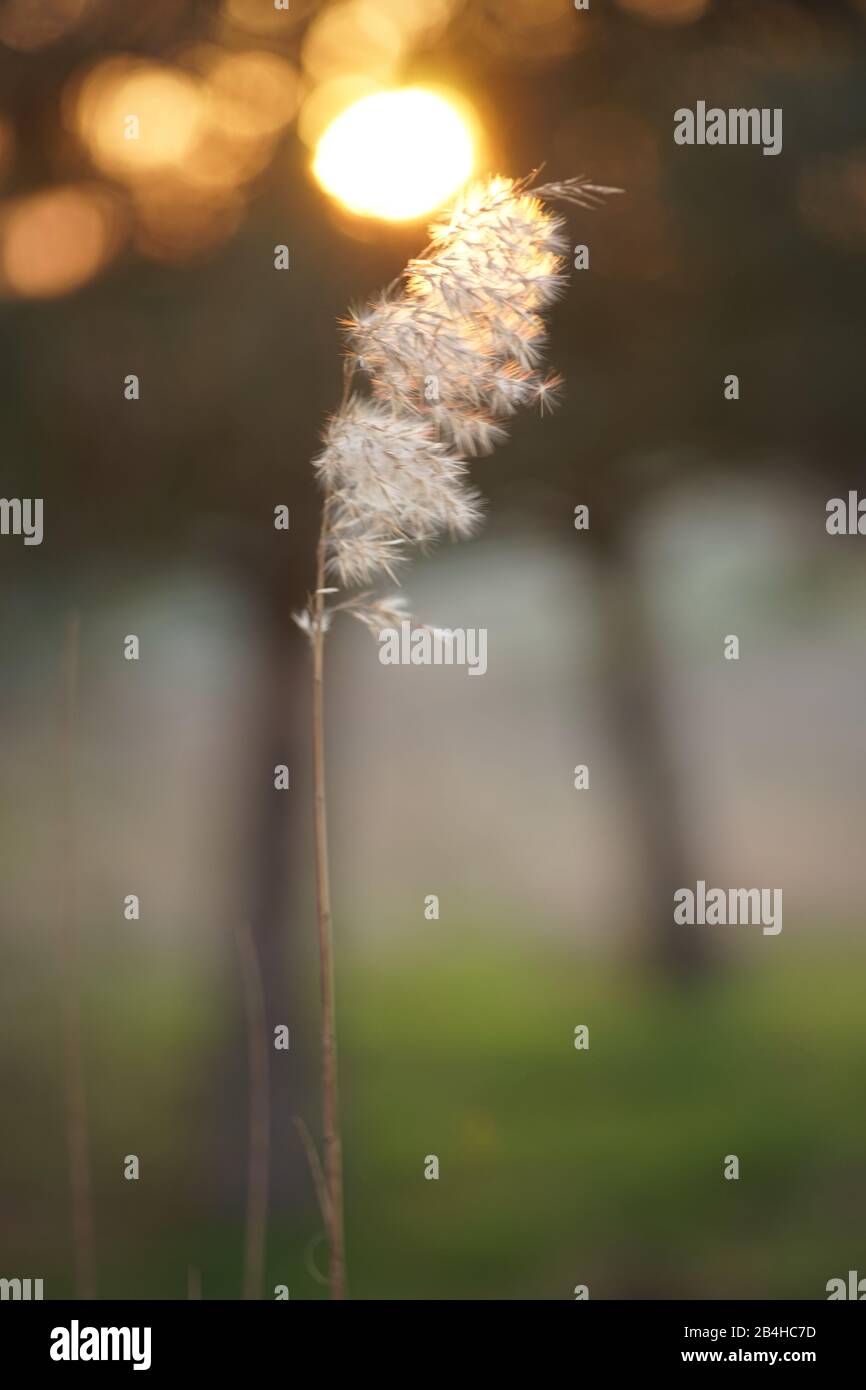 Eed design hi-res stock photography and images - Alamy