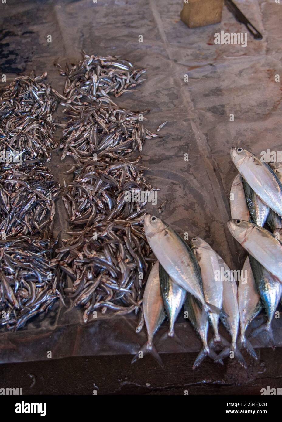 Destination Tanzania, Island Zanzibar: Impressions from Stone Town, the ...