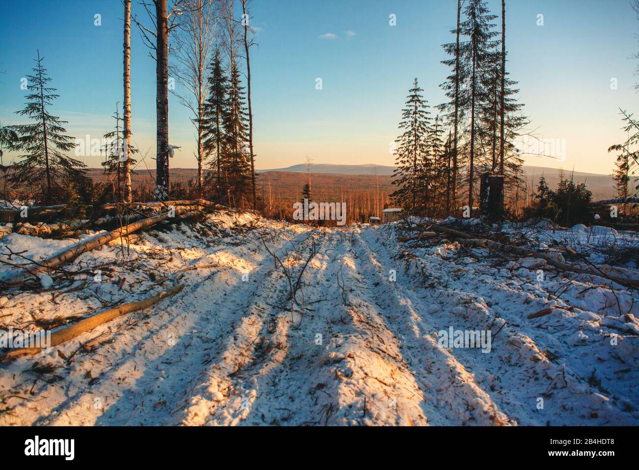 Forest production. Ural winter forest landscape Stock Photo - Alamy