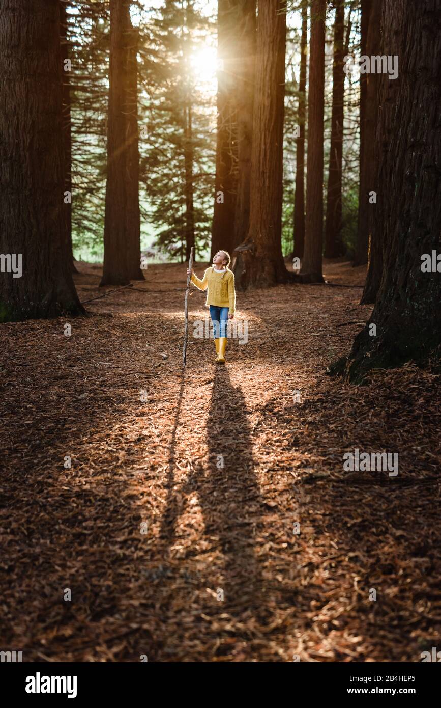 Tween girl walking through beautiful forest in New Zealand Stock Photo ...