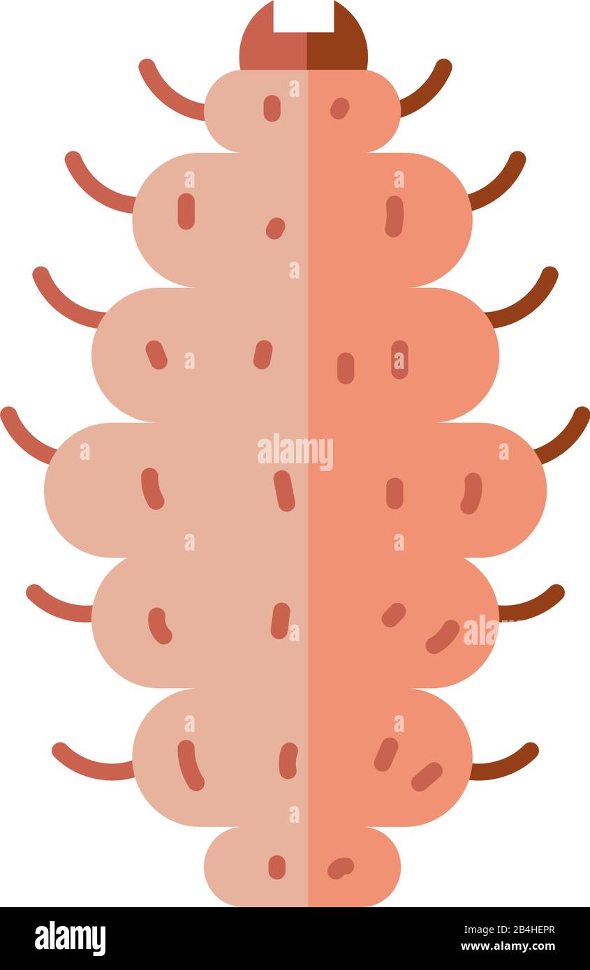 maggot insect icon over white background, flat style, vector ...