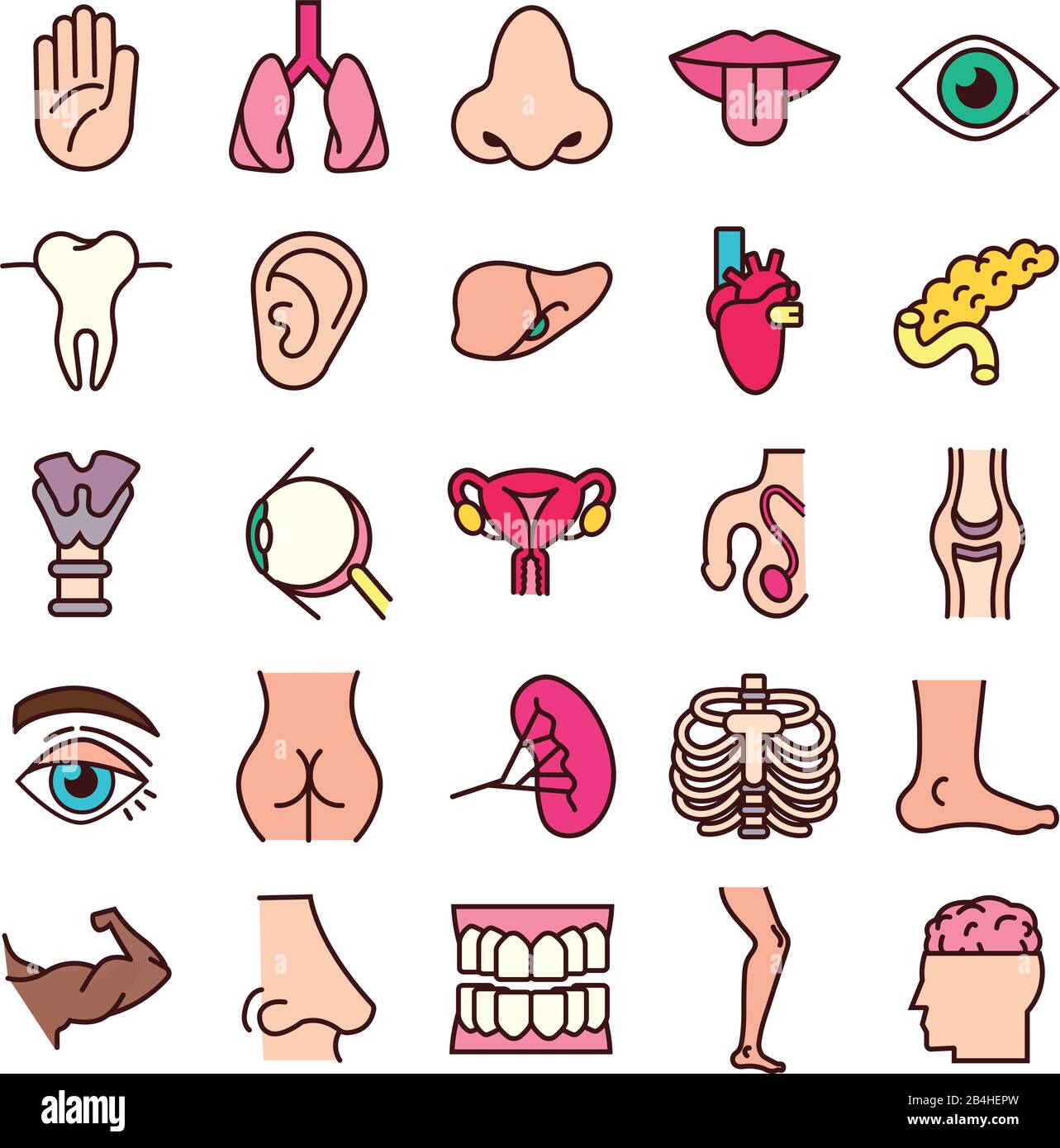 Body parts icons set cartoon Stock Vector Images - Alamy
