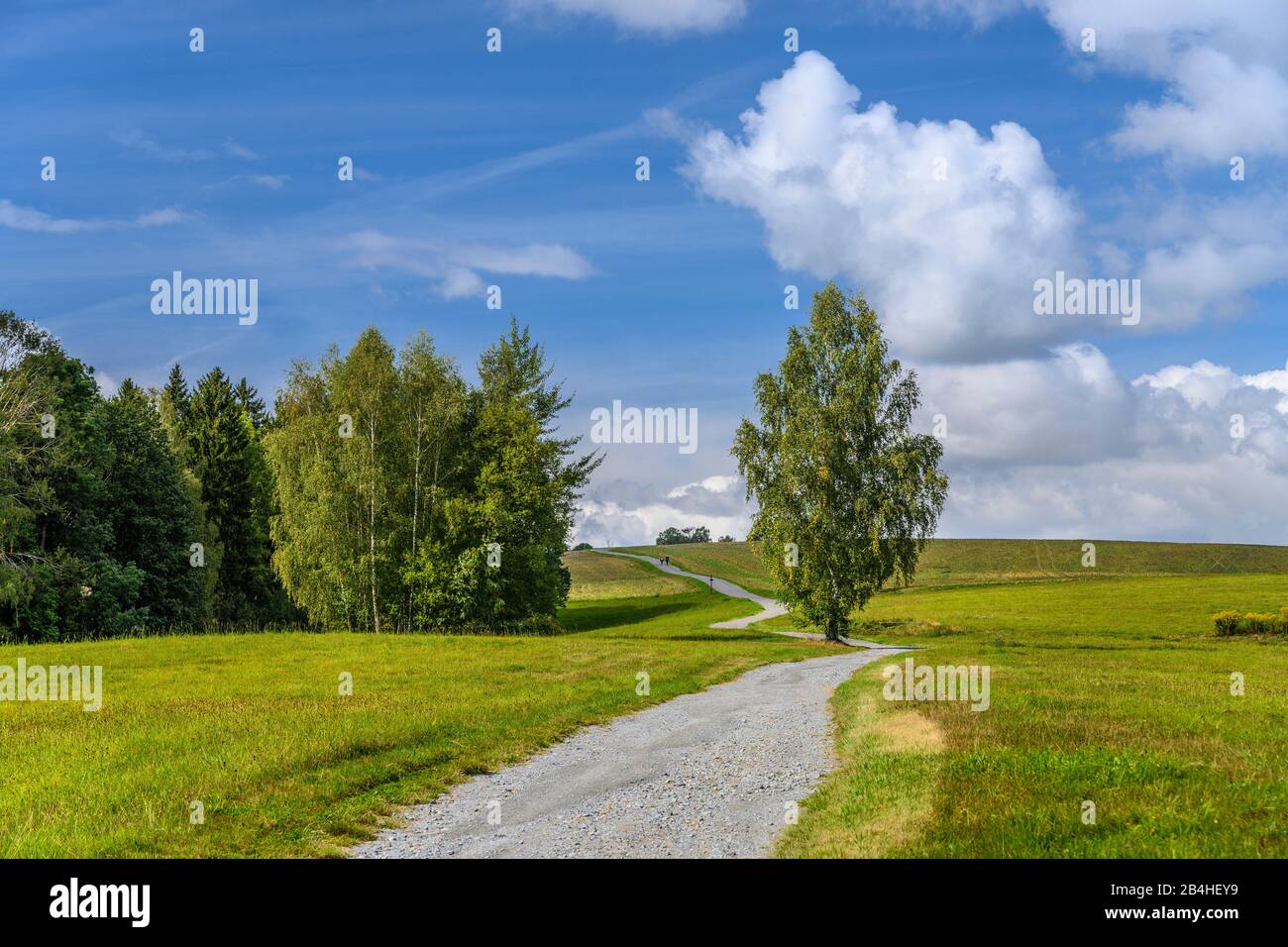 Sachsisch bohmische schweiz hi-res stock photography and images - Alamy Sachsisch bohmische schweiz hi-res stock photography and images - Alamy