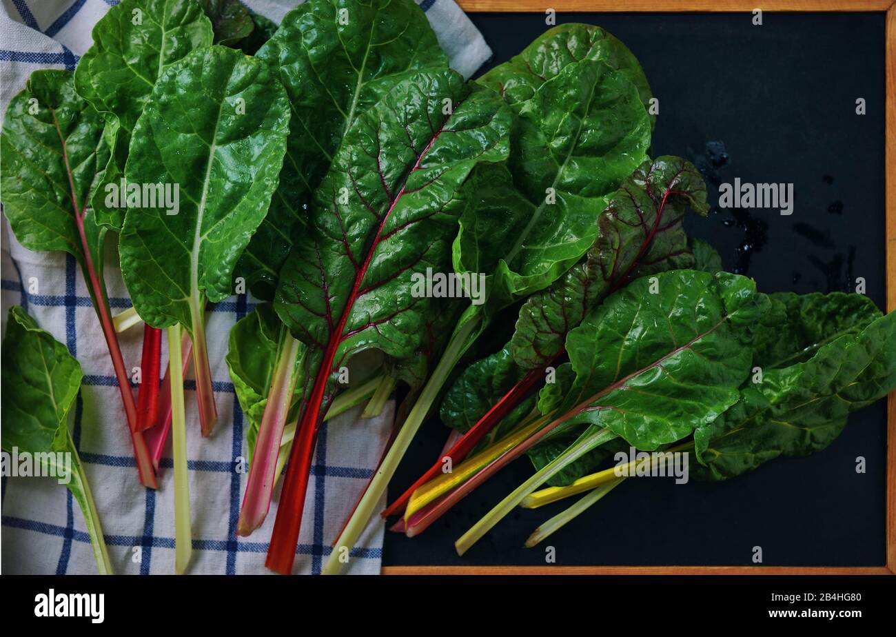 Colorful leaves and stem of organic homegrown swiss chard Stock Photo ...