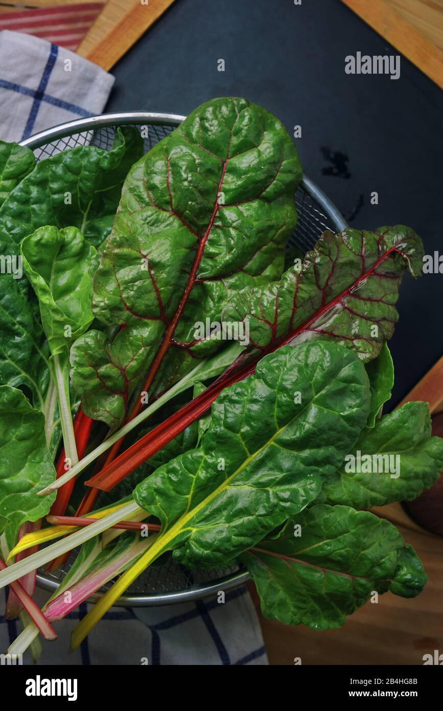 Colorful leaves and stem of organic homegrown swiss-chard Stock Photo ...