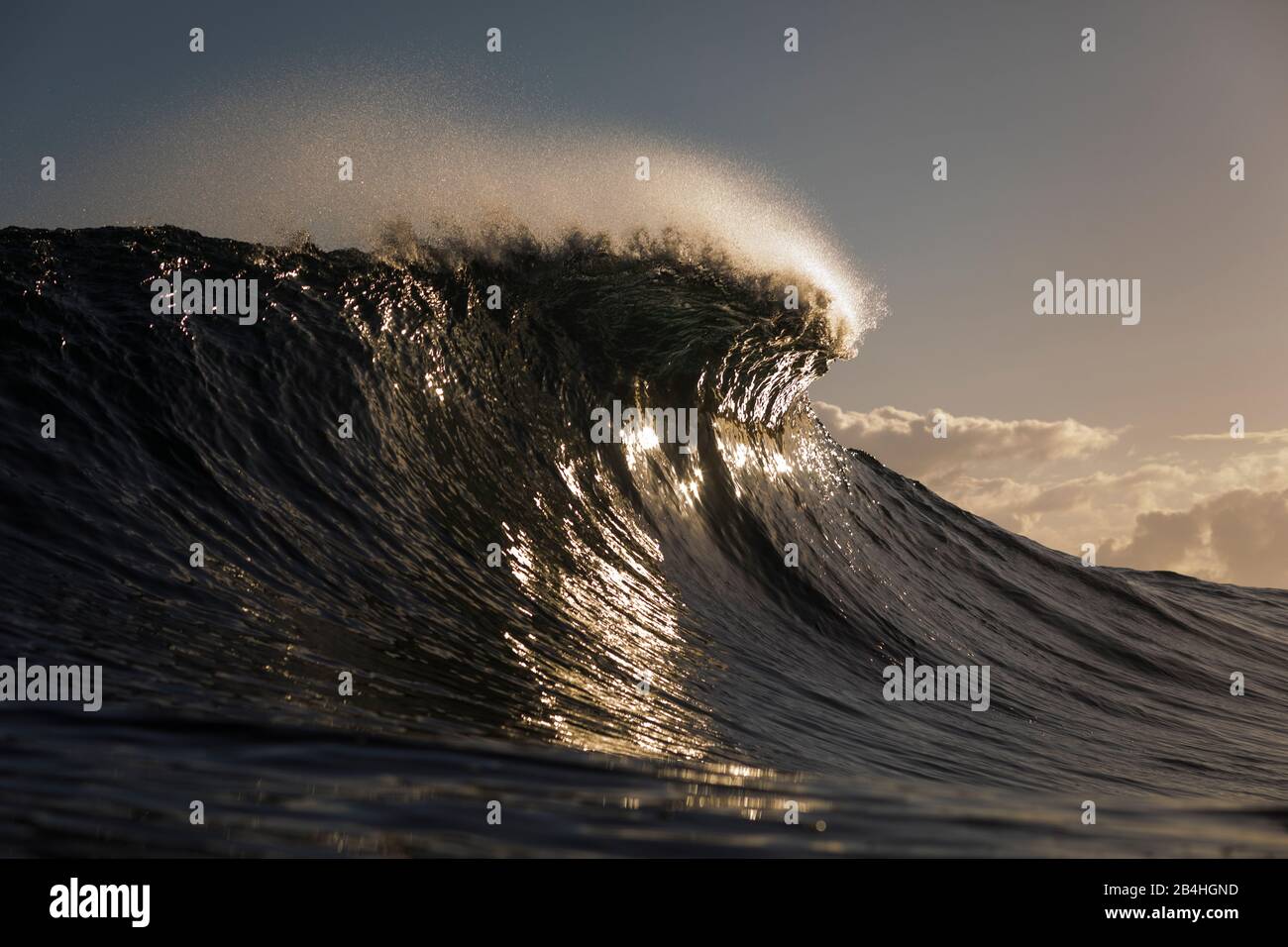 Reef wave hi-res stock photography and images - Alamy