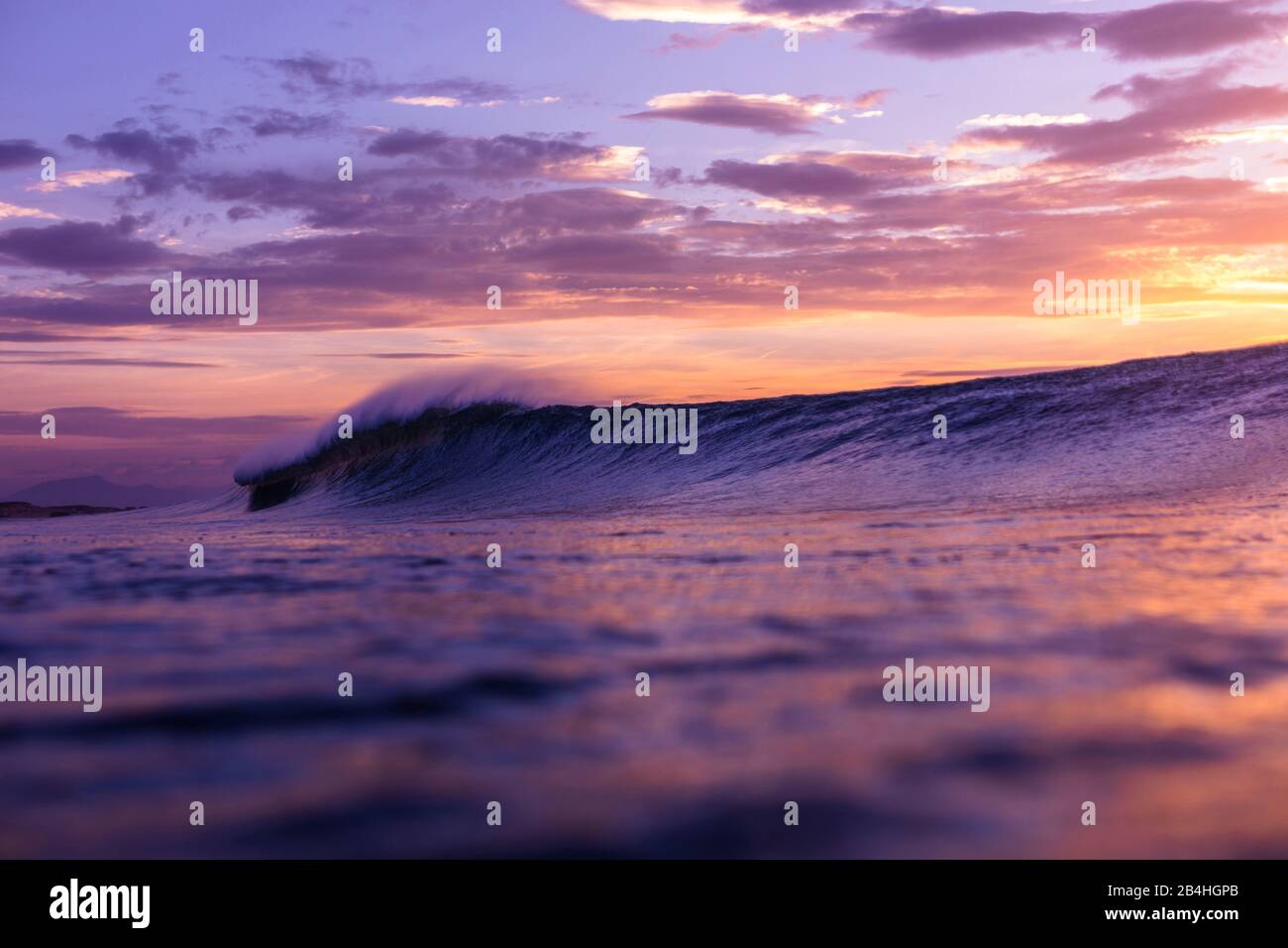 Wave breaking at sunset Stock Photo - Alamy