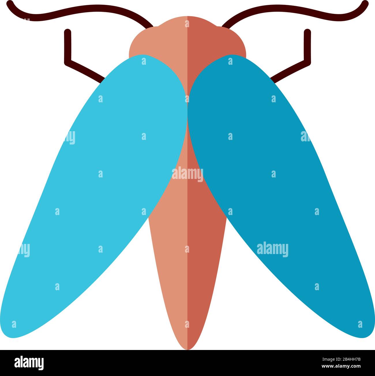 moth insect over white background, flat style icon, vector illustration ...