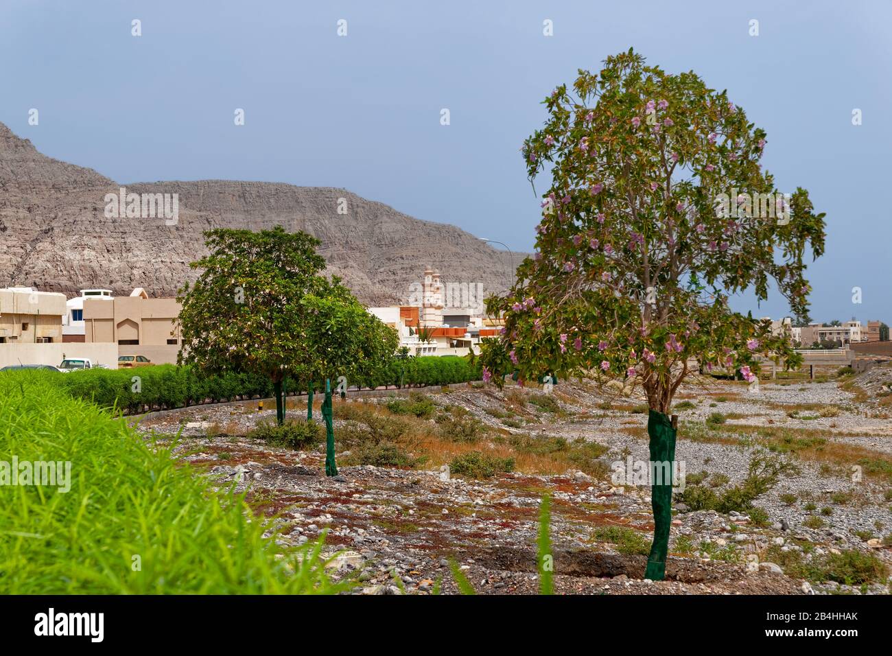 Oman city hi-res stock photography and images - Alamy