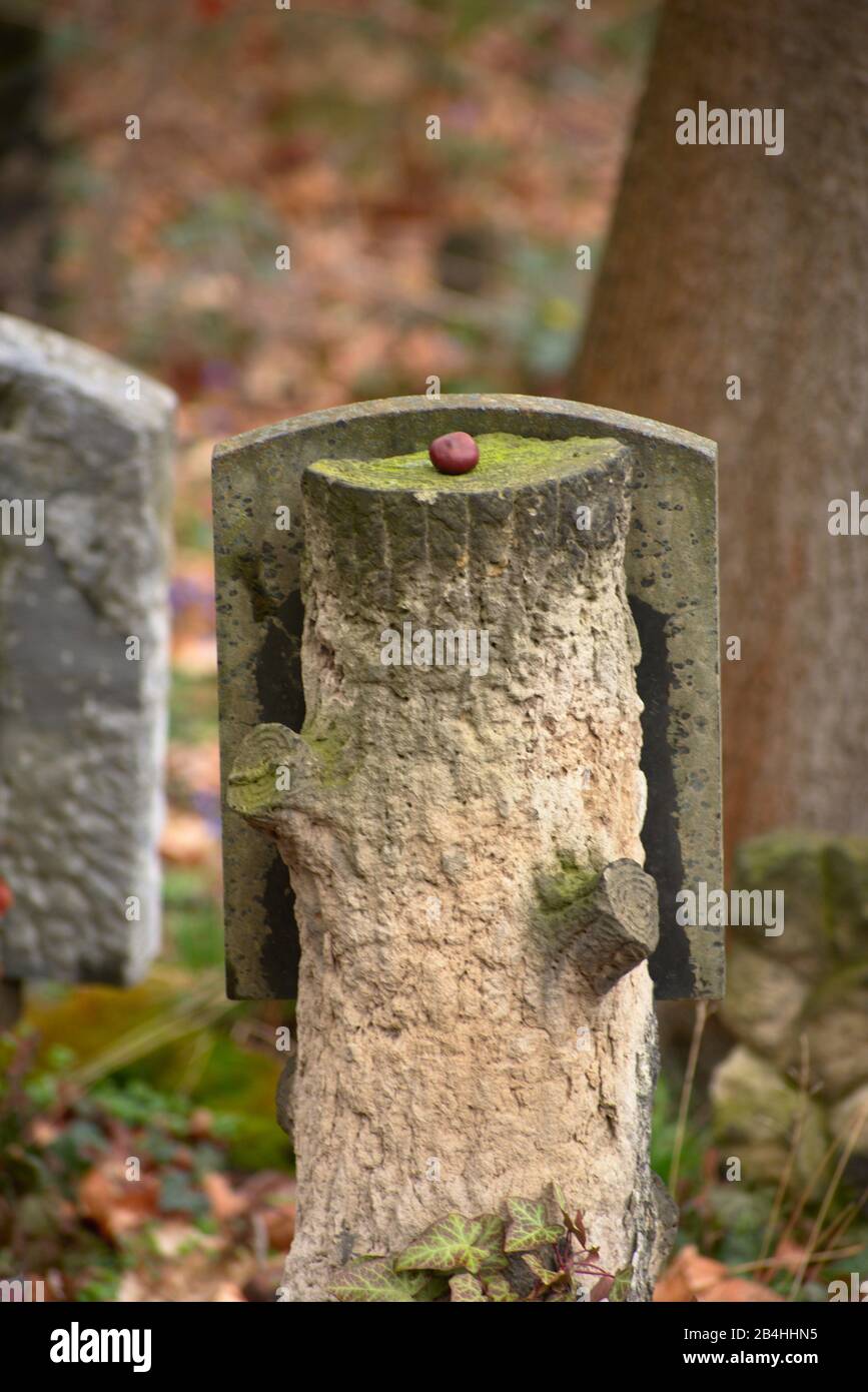 Scary log hi-res stock photography and images - Alamy