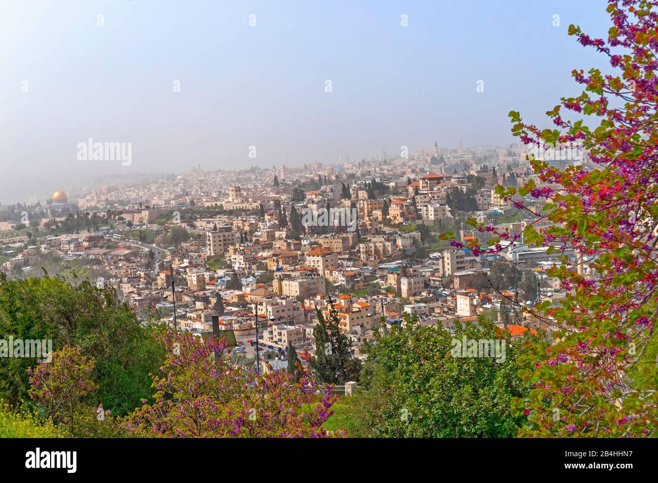 Jerusalem countryside hi-res stock photography and images - Alamy