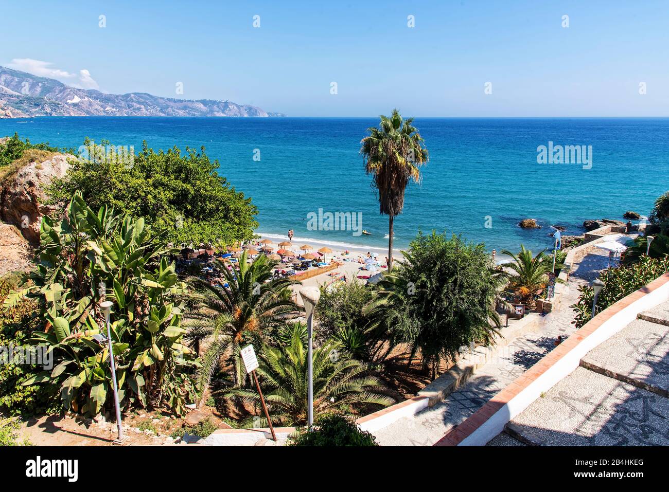 Nerja palm tree hi-res stock photography and images - Alamy