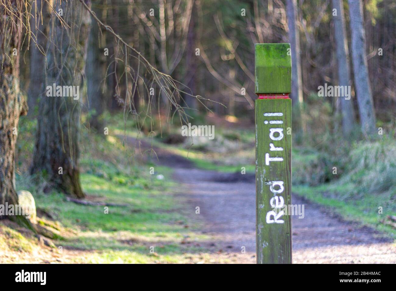 Red trail signpost next to path in Tyrebagger forest, Aberdeenshire ...