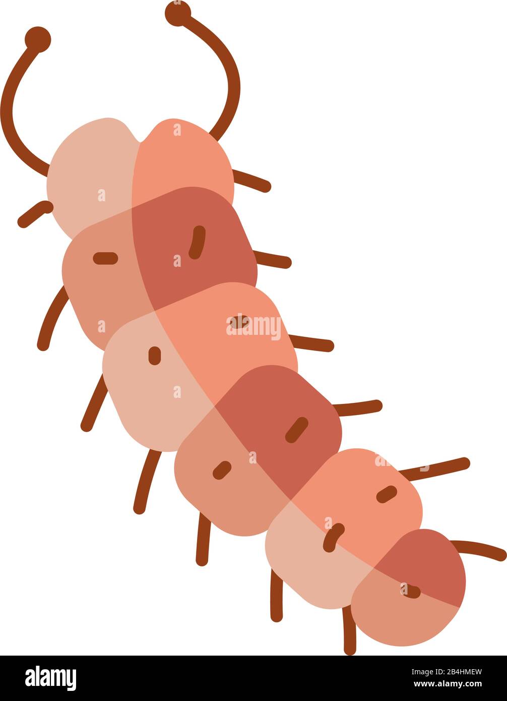 grub insect icon over white background, flat style, vector illustration ...