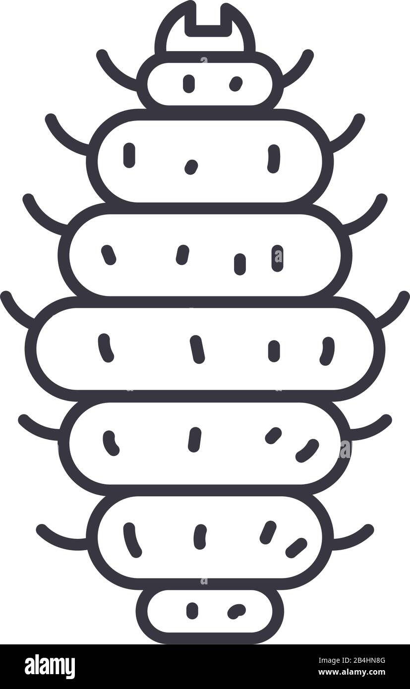 maggot insect icon over white background, line detail style, vector ...