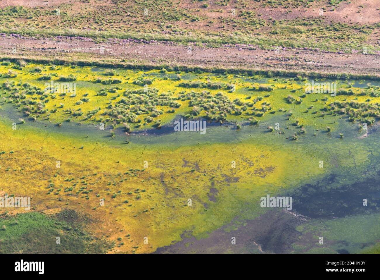 Aerial view of a lake full of algae with an exciting play of colors ...