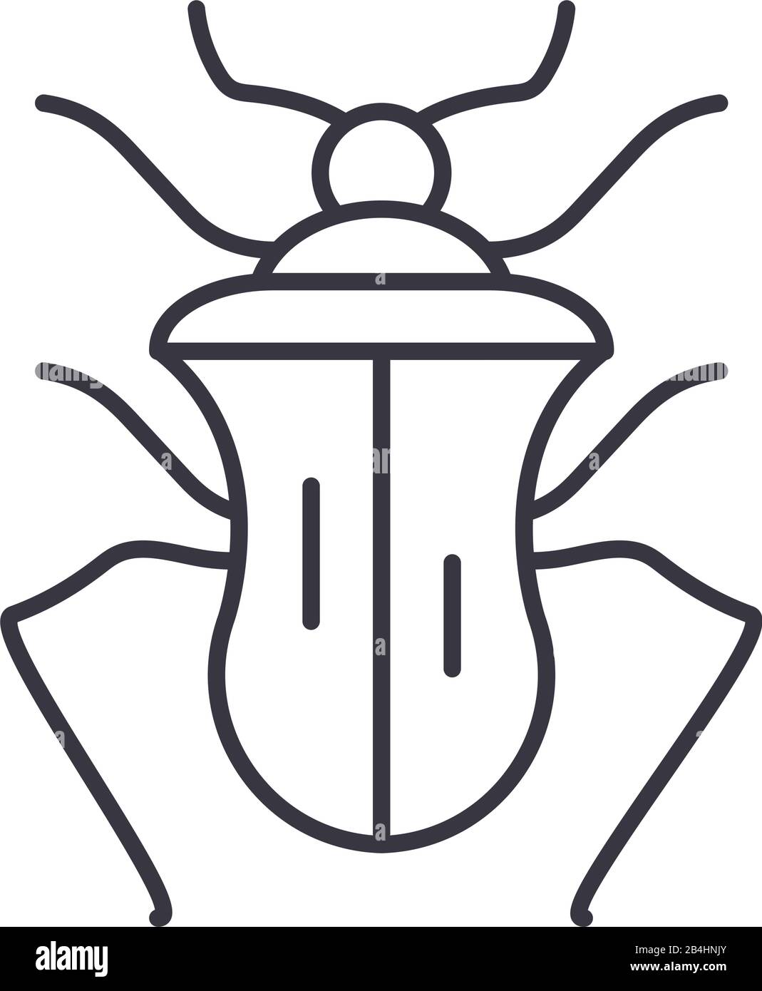 water beetle icon over white background, line detail style, vector ...
