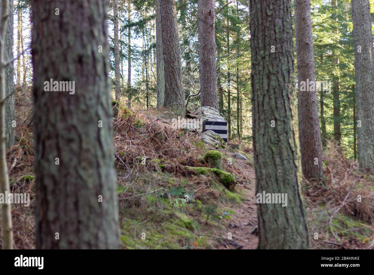 Black and white granite sculpture in Tyrebagger forest, Aberdeenshire ...