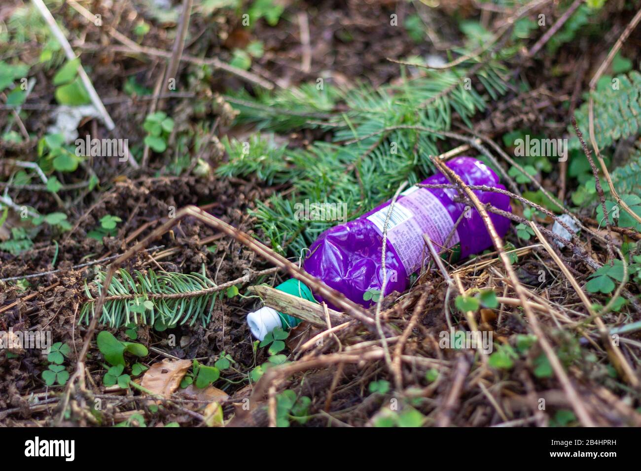 Tyrebagger woods hi-res stock photography and images - Alamy