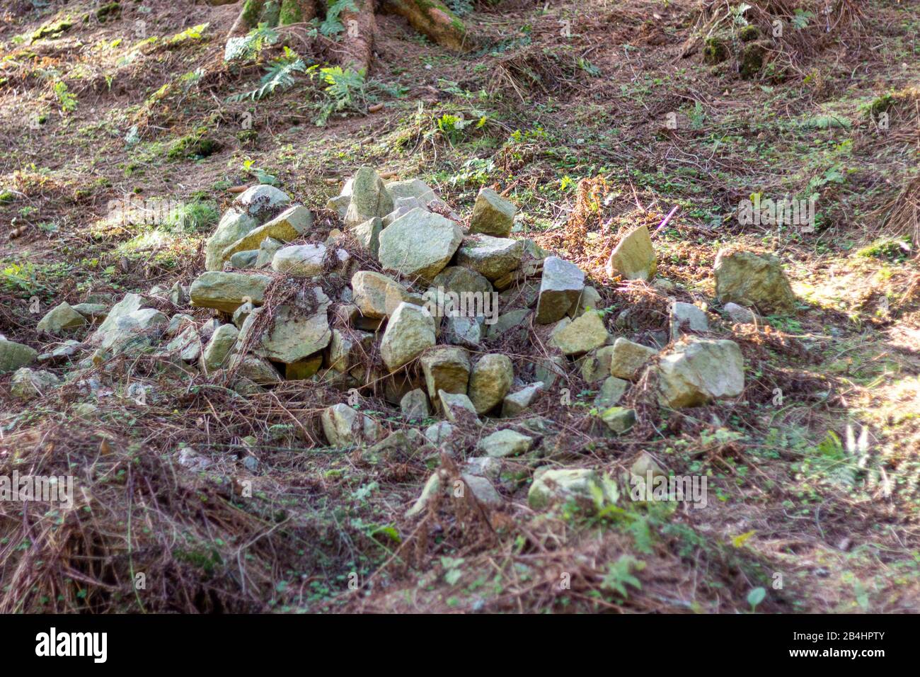 Tyrebagger High Resolution Stock Photography and Images - Alamy
