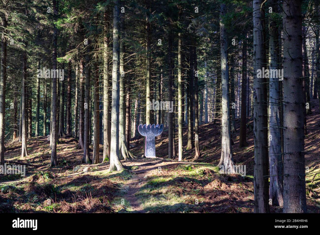 Tyrebagger woods hi-res stock photography and images - Alamy