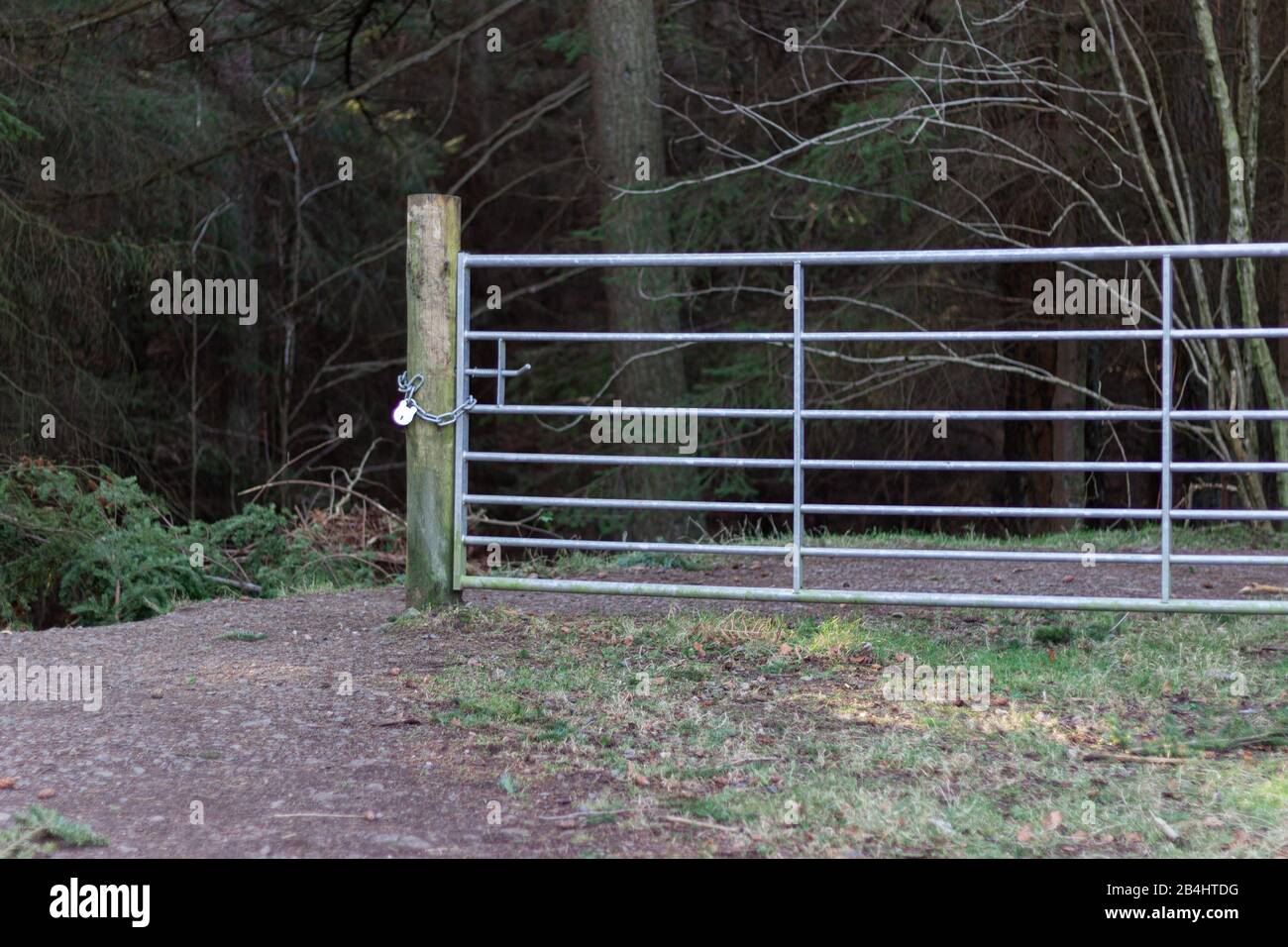 Tyrebagger woods hi-res stock photography and images - Alamy