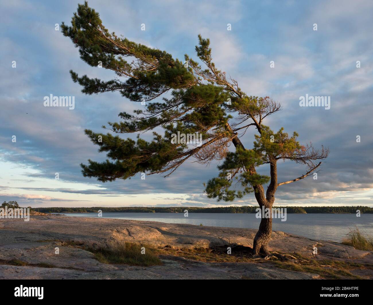 Parry sound hi-res stock photography and images - Alamy