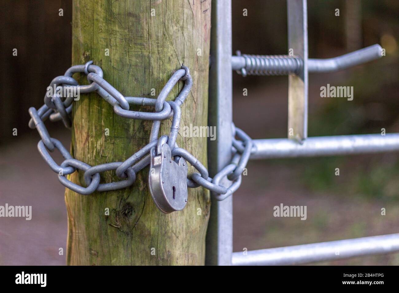 Metal gate and padlock in the forest, Tyrebagger woods, Aberdeenshire ...