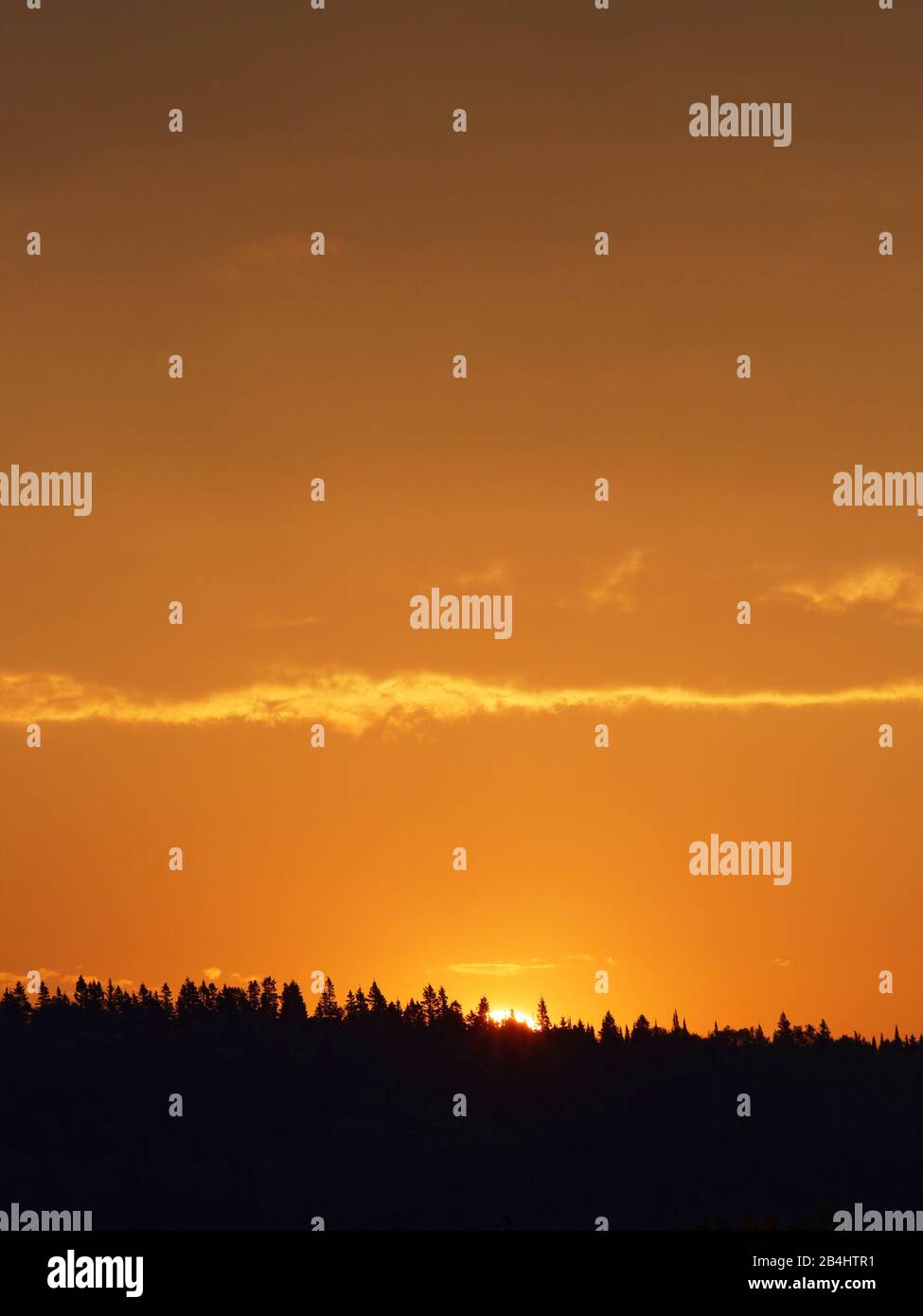 Sunrise with trees hi-res stock photography and images - Alamy