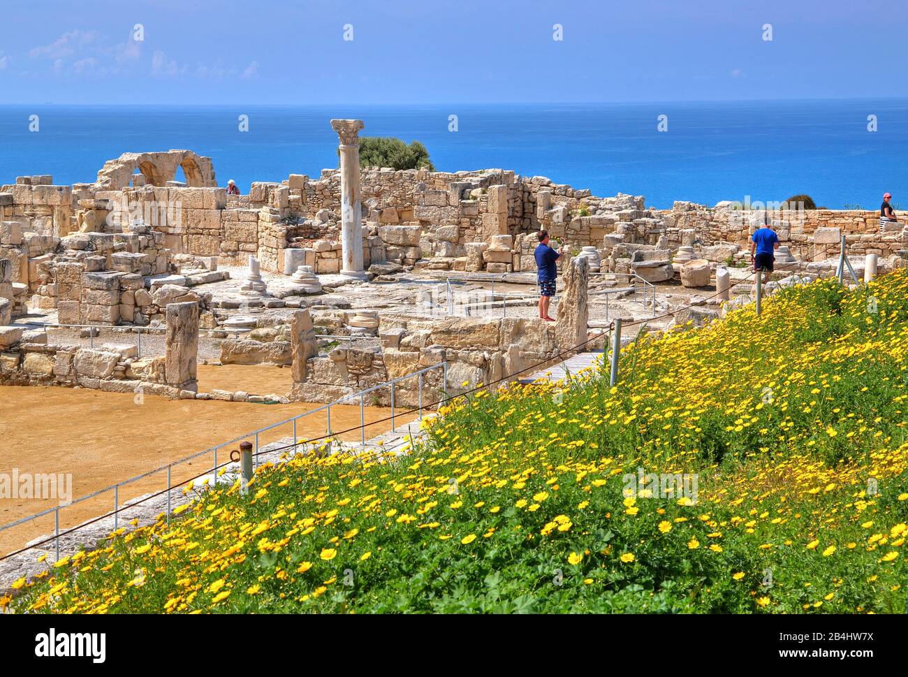 Spring flowers in cyprus hi-res stock photography and images - Alamy