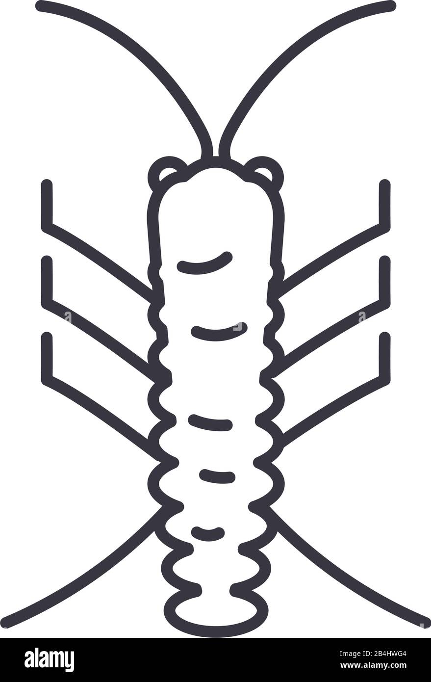 Stick Insect Icon Over White Background Line Detail Style Vector