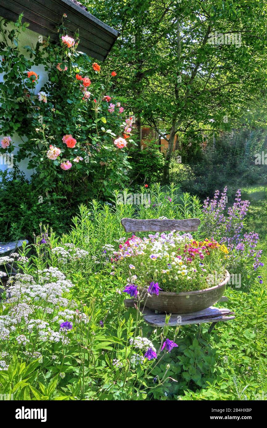 Planegg High Resolution Stock Photography and Images - Alamy