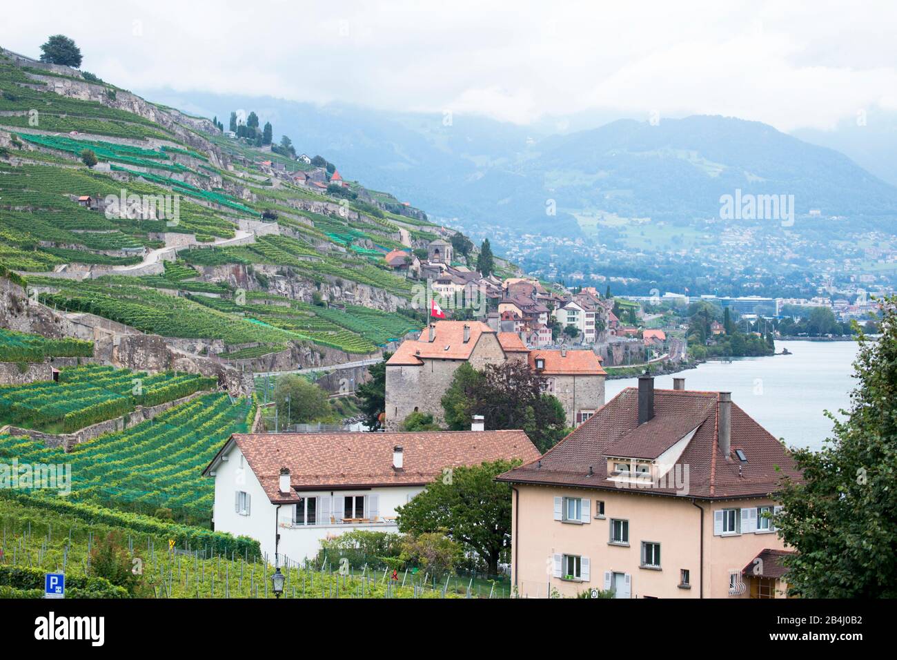 Terrace Vineyards, Rivaz, Lavaux, Vaud, Switzerland Stock Photo - Alamy