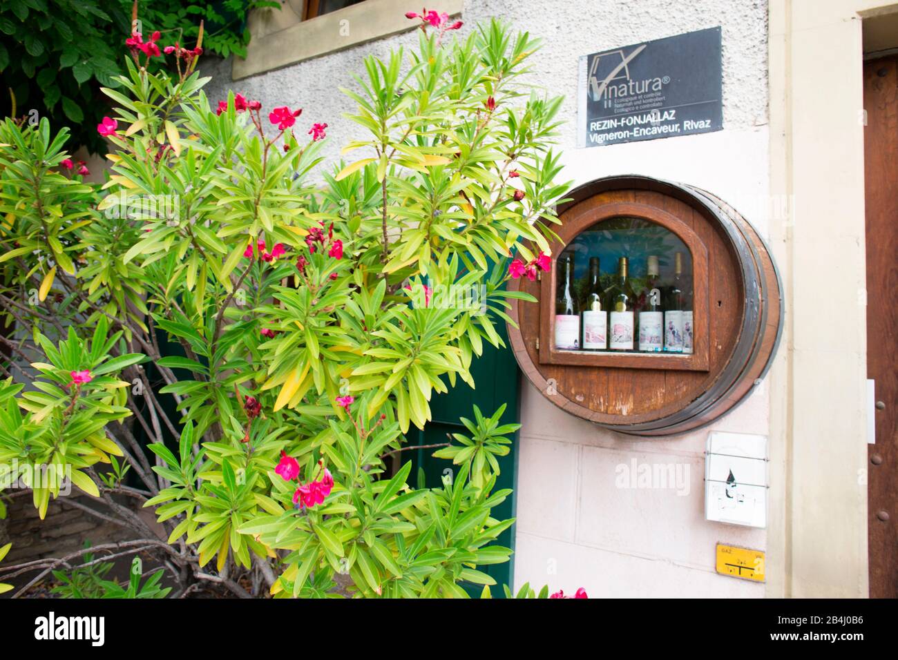 Rivaz village hi-res stock photography and images - Alamy