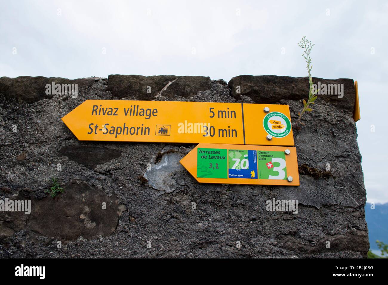 Canton shield hi-res stock photography and images - Alamy