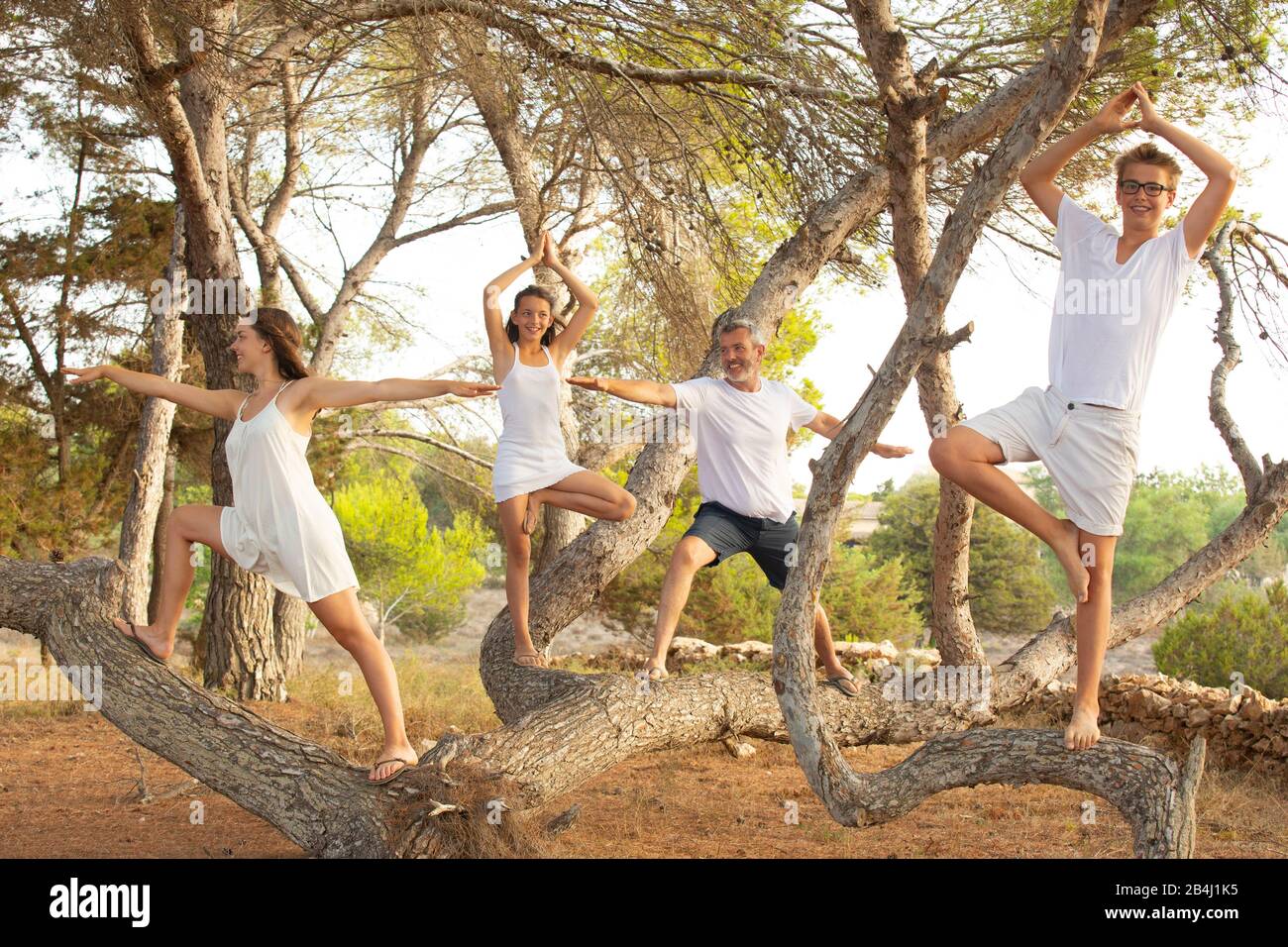 Family, yoga, forest, tree Stock Photo - Alamy